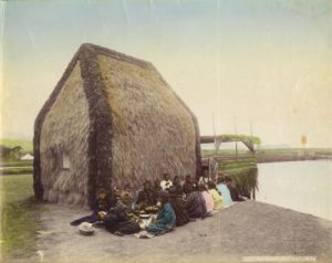 Hale Pili – Hawaii Alive