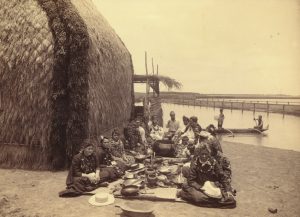 Hale Pili – Hawaii Alive