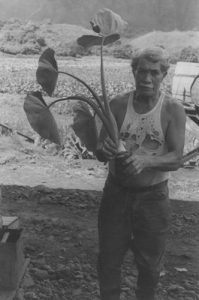 Pōhaku ku‘i ‘ai Collection – Hawaii Alive