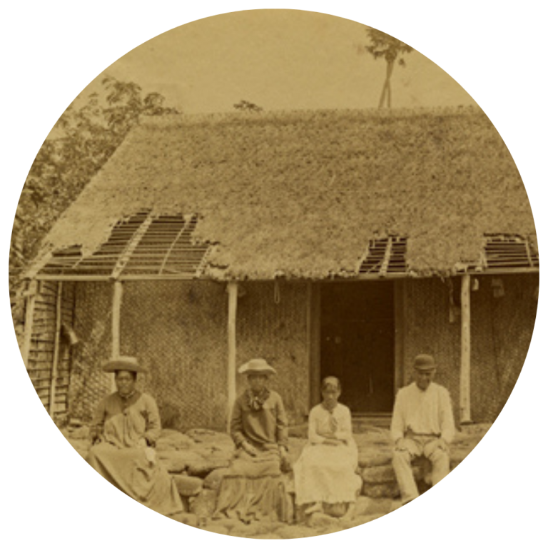 Hale Pili – Hawaii Alive