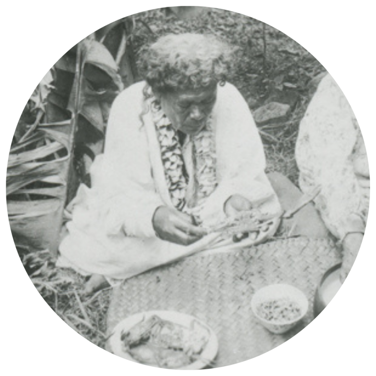 Pōhaku ku‘i ‘ai Collection – Hawaii Alive