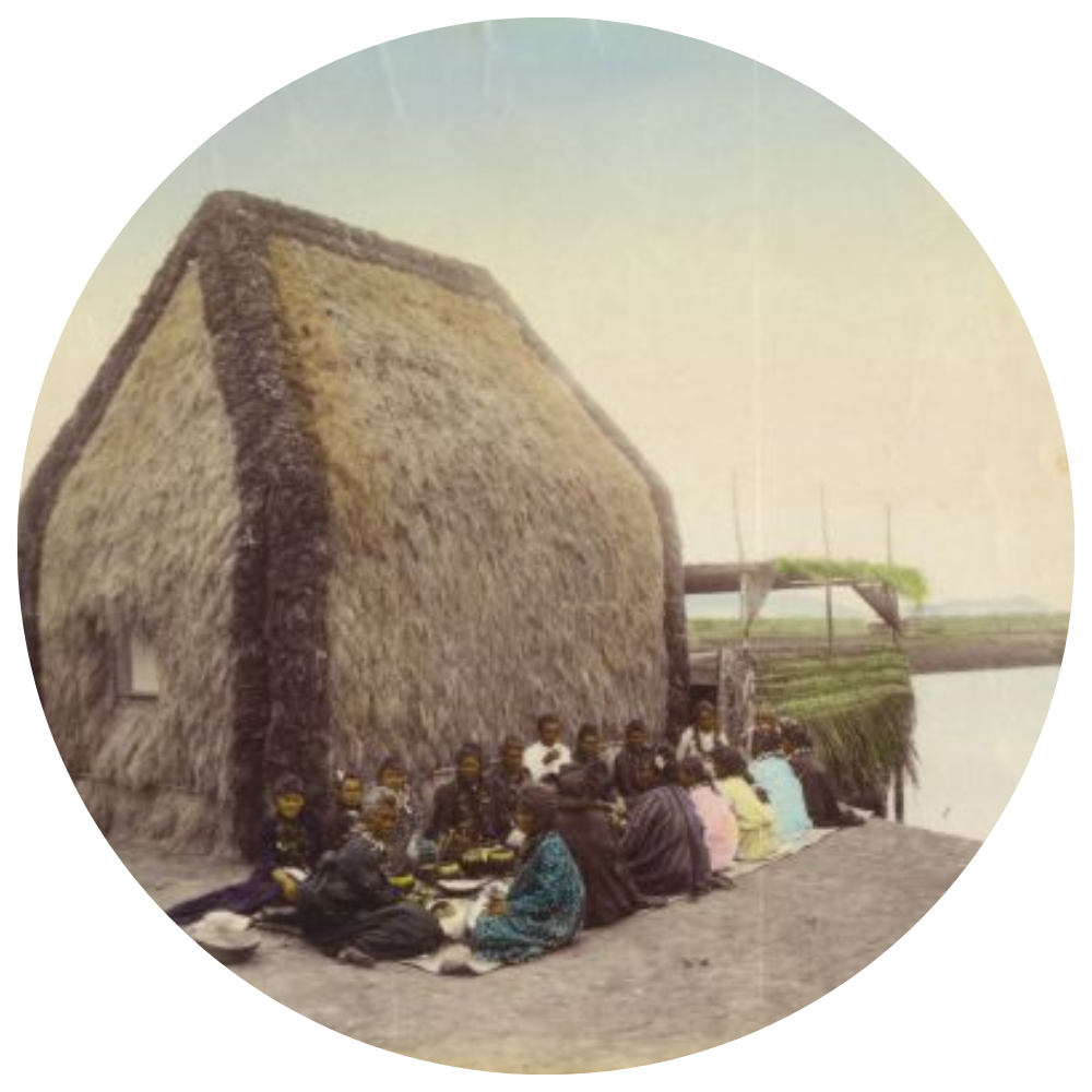 Hale Pili – Hawaii Alive