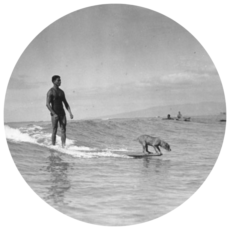 Duke Kahanamoku’s Surfboard – Hawaii Alive